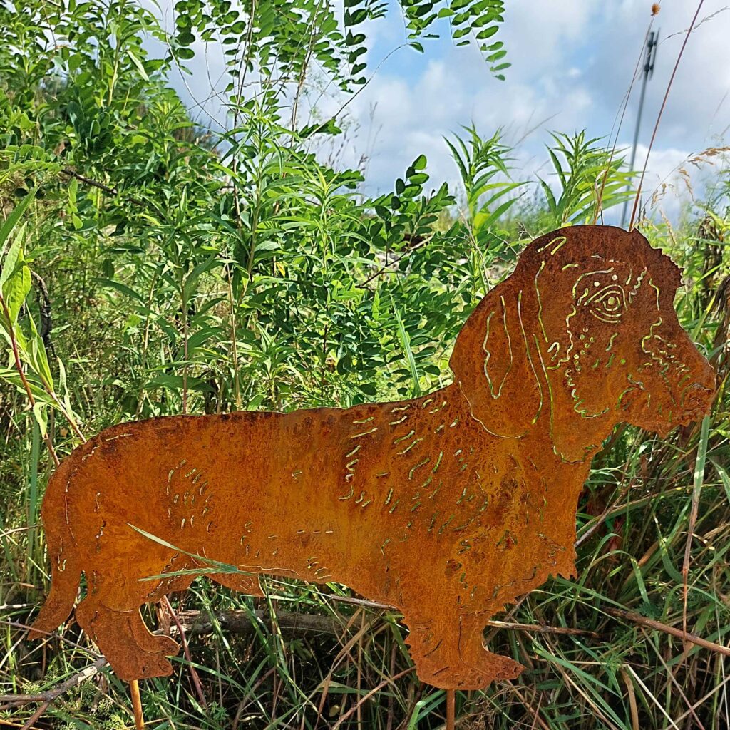 Dog Rust Articles (1)